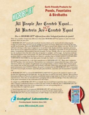 microbe-lift-bacteria-explain | Simple Pond